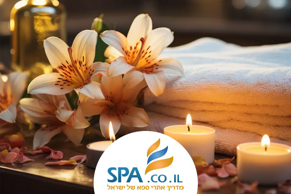כתבות - SPA
